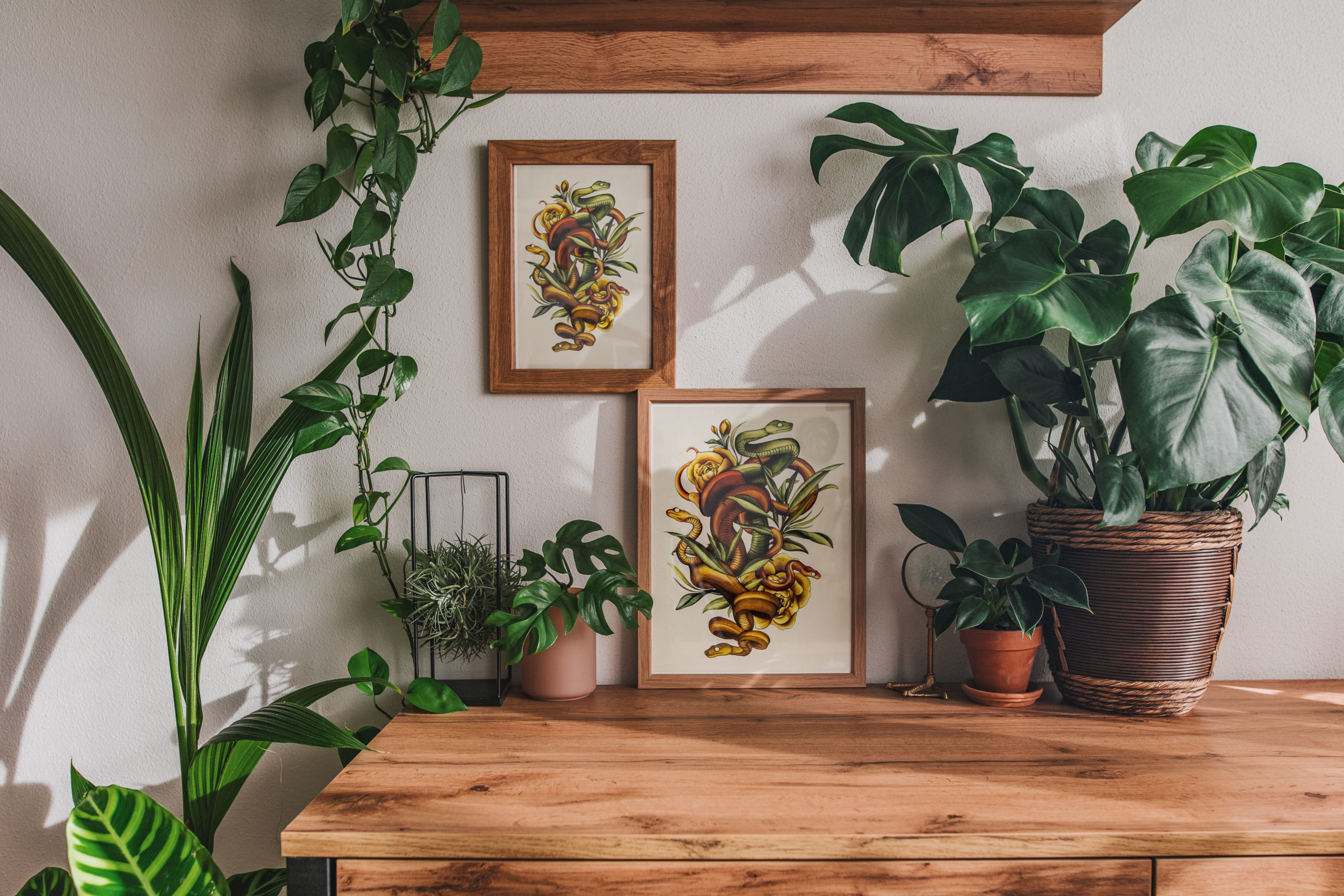 Home | shop.bloom-studio.net