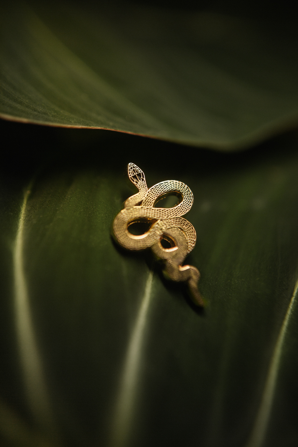 shop.bloom-studio.net | Main Shop